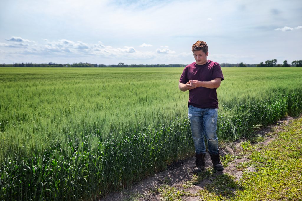 Empowering agronomists: How digital platforms enhance decision-making ...